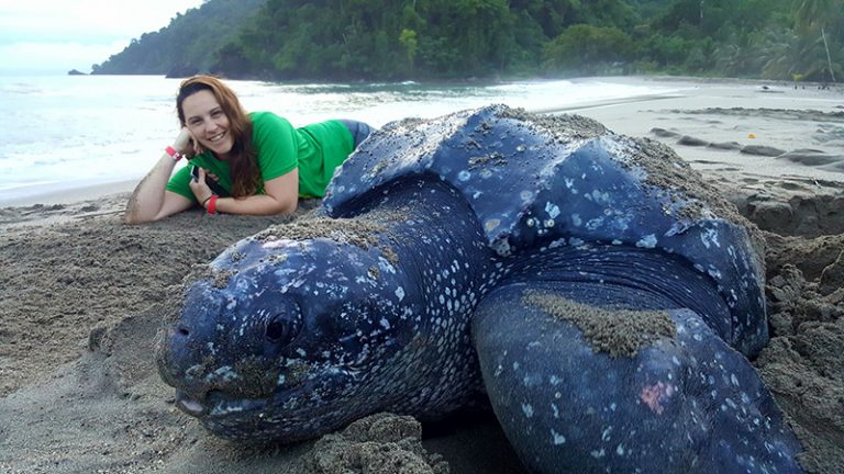 Travel Adventures For Women | Educational Tours | GreenEdventures.com