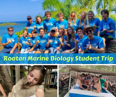Roatan Marine Biology Student Trip Report - Green Edventures Eco Tours & Expeditions